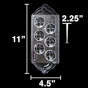 Indoor Gardening System/Small/No Electricity Needed/All Year Round/Hydroponic Growing The Easy Way/Propagate-Regrow in Your Kitchen/I Re Grow