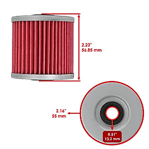 Caltric 2 Pack Oil Filter Compatible with Kawasaki Lakota 300 Kef300 Kef-300 1995-2003