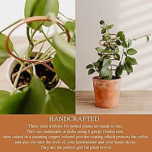 6Pcs Plant Trellis, Gold Trellis for Climbing Plants Indoor, Mini Trellis for Potted Plants Support Stake House Plant Trellis for Garden Potted Plant, Hoya, Pothos, Flower, Monstera