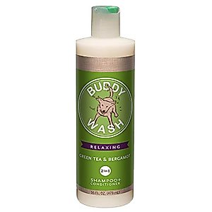 Cloud Star, Buddy Wash Green Tea Bergamot, 16 Ounce