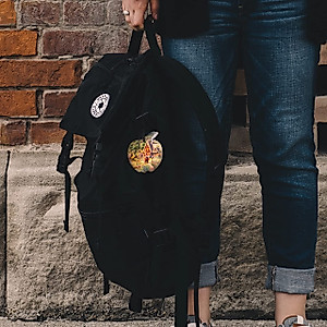 Disney – The Evil Queen –Snow White Disney Collection – Thomas Kinkade Studios – Apple Shaped Hanging Acrylic Print Accessory – Officially Licensed Collectible