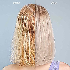 Pureology Color Fanatic Top Coat + Tone Purple, Pre-lightened light blonde to dark blonde, Rose, floral ginger & cedarwood, 6.7 fl. oz.