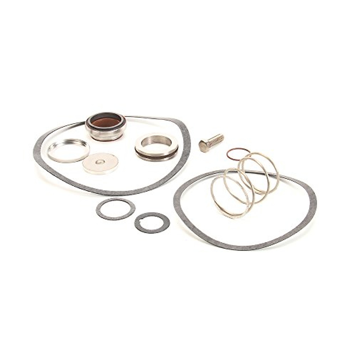 Power Soak Systems Inc 24463 Inc Worthington Pump Seal Kit
