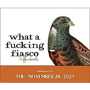 Effin' Birds 2024 Day-to-Day Calendar