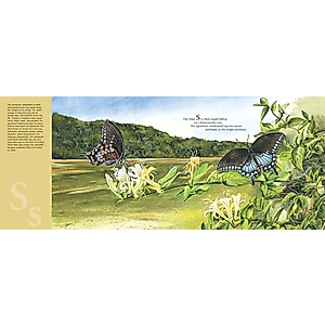 M Is For Magnolia: A Mississippi Alphabet Book (Discover America State by State)