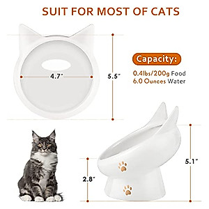 Cat Bowls, Ceramic Cat Food and Water Bowl Set Anti Vomiting, Tilted Elevated Bowls for Cat, Small Dogs, Protect Pet's Spine, Dishwasher and Microwave Safe,2 Pack