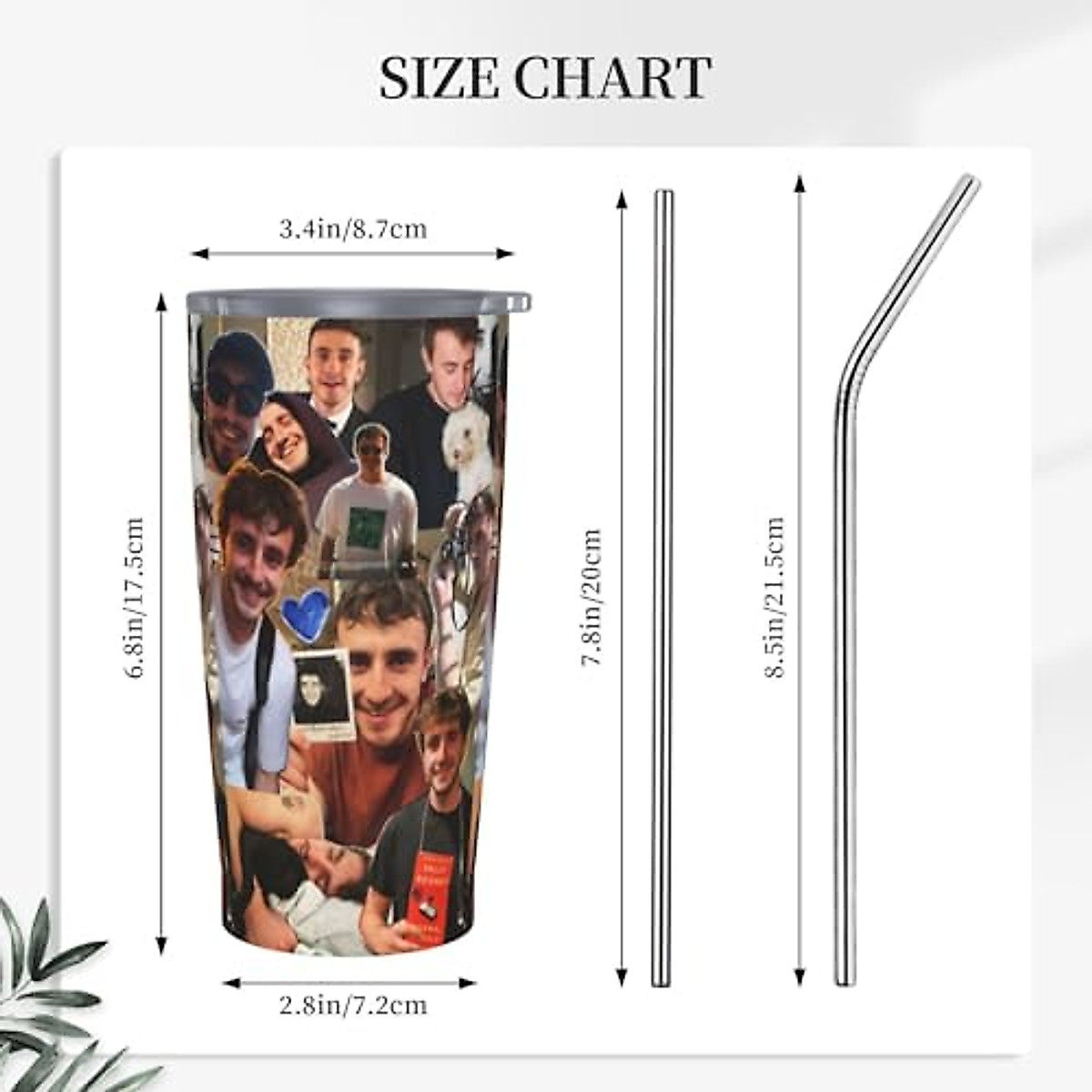 OAEWRE Paul Actors Mescal Stainless Steel Mug Insulated Tumbler Coffee Mugs with Lids and Straw Double Wall Vacuum Cup 20oz