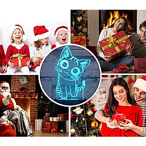 i-CHONY Cat Gift Night Light for Kids,Auto 7 Colors Changing Cat Table Lamp,3D Illusion Bedside Lamp,Cute Cat Gifts for Women Teens Boys Girls Birthday Christmas Gifts