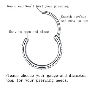 LOVEBODYJEWELRY 316L Surgical Steel Seamless Nose Ring Cartilage Hoop Silver/Gold/Rose Gold/Black 16G 18G 20G 6mm-12mm CZ Paved Helix Rook Tragus Lobe Body Pierecing Jewelry Segment Clicker Lip Rings