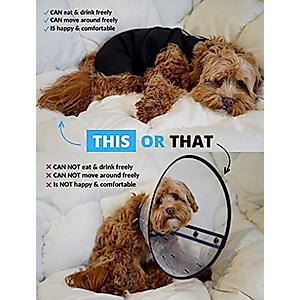 Shed Defender Recovery Suit for Dogs - Seen on Shark Tank, Post-Surgery Dog Onesie, Vet Approved, Anxiety Shirt, E-Collar Alternative, Calming Vest Jacket, Covers Hot Spots & Abdominal Wound, Bodysuit