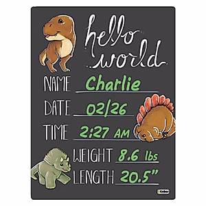 Cohas Hello World Newborn Baby Announcement Chalkboard Sign with Dinosaur Theme, 5 by 7 Inches, Green Marker