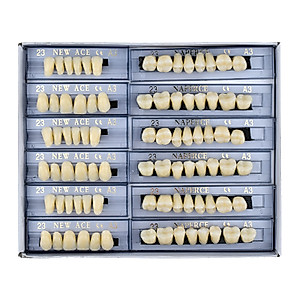 168 Pcs Dental Synthetic Resin Tooth Denture 3 Sets False Teeth 23 A3 Upper Lower Shade Dental for Halloween Horror Teeth