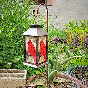 Solar Lanterns, Outdoor Hanging Lanterns Waterproof LED Solar Cardinal Lights Tabletop Lamp for Outdoor Patio Garden（1pack