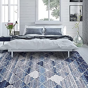 FairOnly Indoor Large Area Rugs 8x10 Stain Resistant Washable Rug, Non-Shedding Anti Slip Backing Rugs for Living Room Bedroom Dining Room,Blue