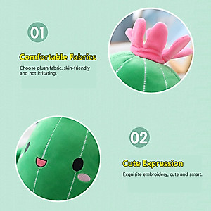 VOpper 1Pcs 8inch Super Cute Smiling Cactus Plush Pillow Toy,A Great Gift for Boys, Girls and Girlfriends (8inch)…