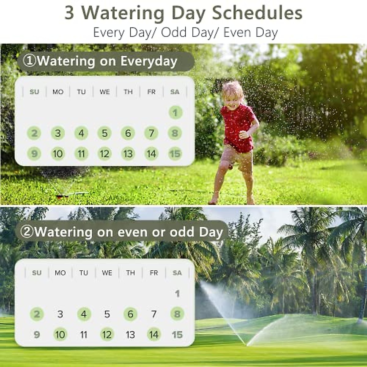 Sprinkler Timer 2 Zone, Diivoo Programmable Water Hose Timer 2 Outlet for Garden, Automatic Irrigation Timer IP54 with Rain Delay/Manual/Auto Mode, Outdoor Hose Timer Controller for Lawn, Yard, Pool