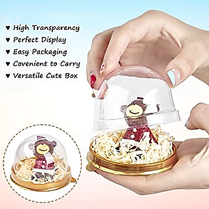 TOFLEN 100ct Clear Plastic Mini Packaging Boxes with Dome Lids for Chocolate Covered Oreo, Strawberry, Mooncake, Mini Cupcake, Mini Cake Containers (Gold Base)