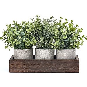 Dahey 3 Pack Mini Potted Artificial Eucalyptus Fake Plants with Wood Tray Centerpiece Table Decor, Farmhouse Pulp Flower Pots Greenery Home Decoration for Coffee Table Dining Room Office Kitchen
