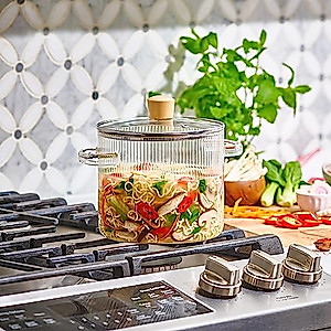 Glass Cooking Pot with Lid - 2L(68oz) Heat Resistant Borosilicate Glass Cookware Stovetop Pot Set - Simmer Pot with Cover Safe for Soup, Milk, Baby Food