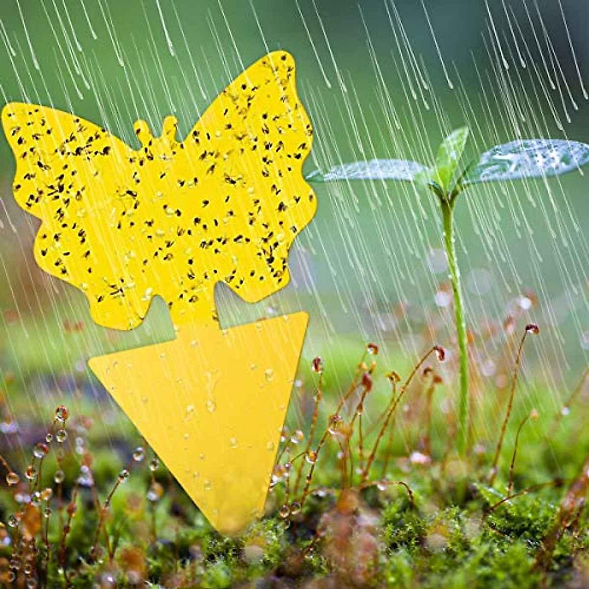 50 Pack Yellow Sticky Traps for Indoor Outdoor House Plant Flying Insect Catcher Like Fungus Gnats, Whiteflies, Aphids, Thrips, Other Flying Plant Insects