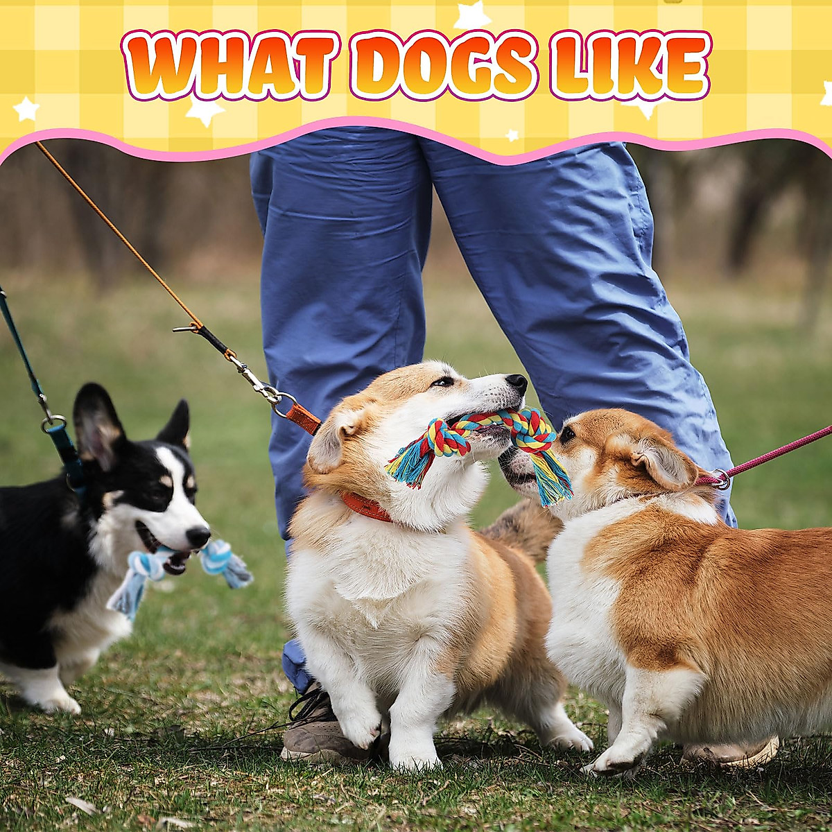 RoundFunny 100 Pieces Knot Rope Dog Toys Multi Color Puppy Knot Chew Toy Cotton Puppy Toys Dental Dog Teething Toys 2 Knot Dog Tug for Small and Medium Dogs Aggressive Chewers Supplies