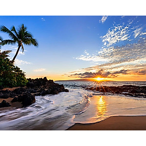 2024 Beaches Scenic Wall Calendar 16-Month X-Large Size 14x22, Best Beach Paradise Calendar by The KING Company-Monster Calendars