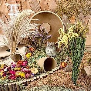 Niteangel Natural Flower & Herb Bedding Habitat Decor - for Hamsters Gerbils Mice Lemming Degus or Other Small Pets (Harvest Wind - Flower Version)