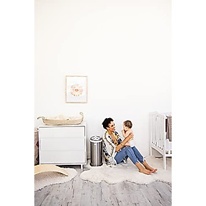 Ubbi Steel Odor Locking, No Special Bag Required, Money Saving, Awards-Winning, Modern Design Registry Must-Have Diaper Pail, Chrome