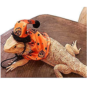 Lizard Clothes for Bearded Dragon - Halloween Hat and Cloak Set Adjustable Halloween Costume Xmas Gifts Pets Apparel for Bearded Dragon Rabbit Guinea Pig Ferret Hedgehog (Halloween Hat & Cloak Set)