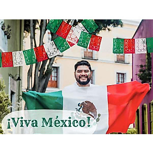 TexMex Fun Stuff - Mexican Banner Decorations, Mexican Party Decorations, Mexican Banner Papel Picado, Virgin of Guadalupe, Paper, 14 x 9 Inches per Flag, Set of 2