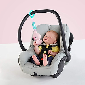Bright Starts Flamingo Chime Along Friends Plush Take-Along Stroller or Carrier Toy, Ages 0 Month+