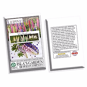 White Russell Lupine Seeds for Planting, 100+ Flower Seeds Per Packet, (Isla's Garden Seeds), Non GMO & Heirloom Seeds, Botanical Name: Lupinus polyphyllus, Great Home Flower Garden Gift