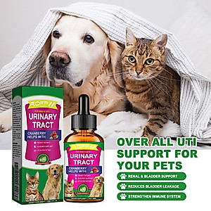 Dog UTI Treatment Cat Urinary Tract Infection Treatment Drops Cat UTI Remedy - Natural Formula Rich in Cranberry and Vitamin C
