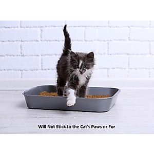 Coir Wonder Cat Litter Deodorizer – Litter Box Odor Eliminator – 2.2 Lb - Made of Activated Charcoal Carbon – Longer Kitty Litter Life – Odor Control for Small Animal Pet Enclosure and Chicken Coop