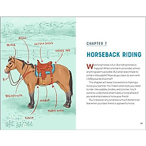 All About Horses: A Kid's Guide to Breeds, Care, Riding, and More!