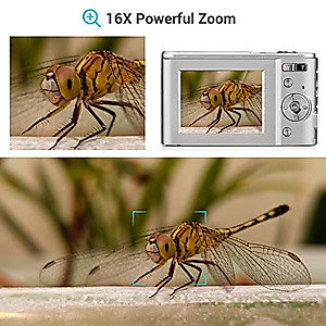 CalmGeek Portable Digital Camera 48MP 1080P 2.4-inch IPS Screen 16X Zoom Auto Focus Self-Timer 128GB Extended Memory Face Detection -Shaking with 2pcs Batteries Hand Strap Carry Pouch