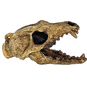 Screaming Aztec Death Whistle - Carnivore