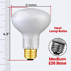 BULBMASTER Reptile Heat Lamp Bulb 100 Watts UVA Basking Light for Reptiles and Amphibian, Basking Light for Bearded Dragon, UVA Reptile Light Bulb E26 Base 2 Pack