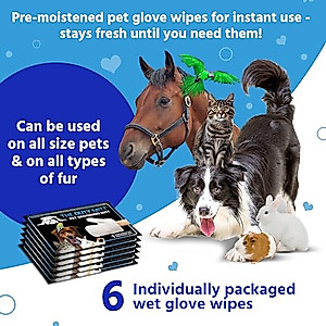 6 Hypoallergenic Pet Grooming Cleaning Wet Wipes Mitt - No Water or Shampoo Needed, Deoderizing, Conditioning, Mouisturing, Fresh, Pet Supplies No Mess Mitts - UNSCENTED