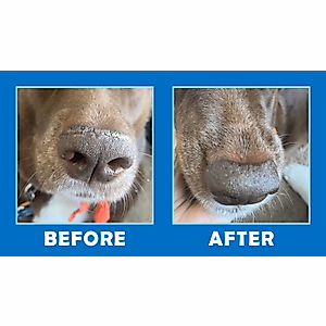 Squishface Nose Balm - Soothe & Protect Dry, Cracked Dog Snouts - Plant-Based, Lick-Safe Formulation to Aid in Relief of Hyperkeratosis - Great for All Breeds! (1.75 oz)