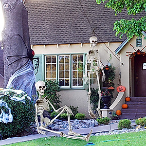 Sizonjoy 35" Posable Halloween Skeleton, Full Body Joints Plastic Skeleton with Movable/Posable Joints,Perfect for Halloween Haunted House Props Decorations Outdoor