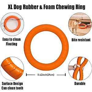 DLDER Dog Flying Disc Dog Chew Toy,Dog Toys for Aggressive Chewers Floating Dog Ring/Fetch Toys for Medium/Large Breeds Interactive Dog Pool Float Durable Toy for Training and Teeth Cleaning,28cm