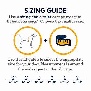 Ruffwear, Sun Shower Dog Raincoat, All-Weather Jacket, Waterproof, Windproof & Lightweight, Hibiscus Pink, Large