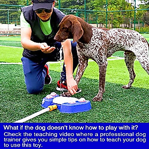 Chew it Dog Sprinkler Toy Paw Activated Puppy Water Fountain Dogs Drinking Step on Pet Watering Dispenser for Medium/Large Dogs Toys Outdoor Yard Birthday Gift G