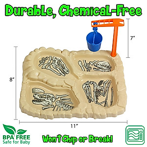 Funwares T-Rex Excavation Plate Engaging Kids' Dinnerware Set: Durable, 4-Section Divided Plate, Ideal for Picky Eaters, Educational Mealtime, Easy Cleaning, Gift for Toddlers