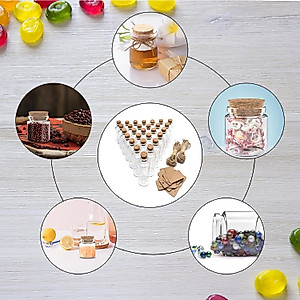 80 Pieces 20 ML Glass Bottles with Cork Stoppers Mini Small Glass Bottles, for Wedding Favors, Crafts Home Decorations