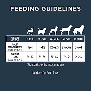 Instinct Raw Boost Gut Health Grain Free Recipe with Real Chicken Natural Dry Dog Food by Nature's Variety, 4 lb. Bag