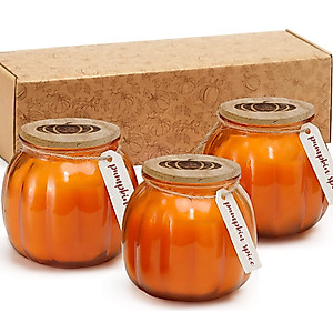 Fall Pumpkin Shaped Candle, Thanksgiving Pumpkin Spice Scented Candle Fall Decoration Farmhouse Candle Gift Set 3 x 5oz