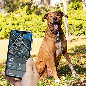 R-fun Airtag Holder,4 Packs Apple Airtags with Metal Keychain, Multi-Color Protective Silicone Airtag Case Key Ring for Luggage, Dog Collar, Keys, Anti-Scratch Protective - (Black,Blue,Sky Blue,Green)