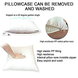 Custom Pillow, Personalized Photo Pillows, 16 x 16 ”(Including Pillow Insertion)Design Throw Pillow with Photo Text, Customize Pet Pillow, Personalized Memorial Gift for Birthday, Christmas